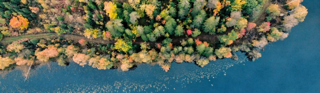 Optilon - Optimizing your business through Supply Chain